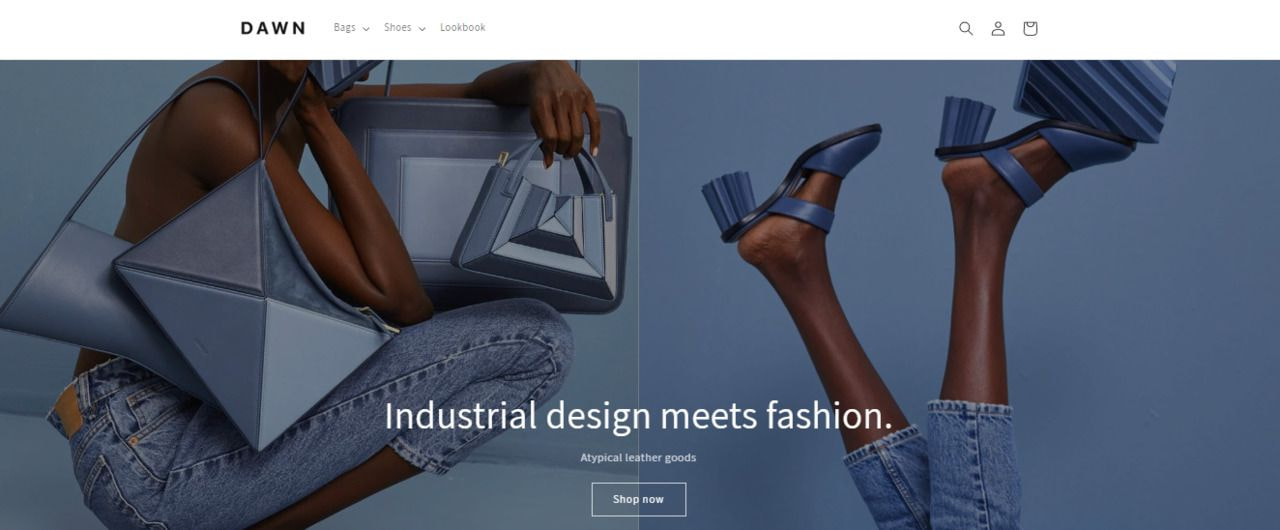 8 Best Shopify Themes for Dropshipping | Printful