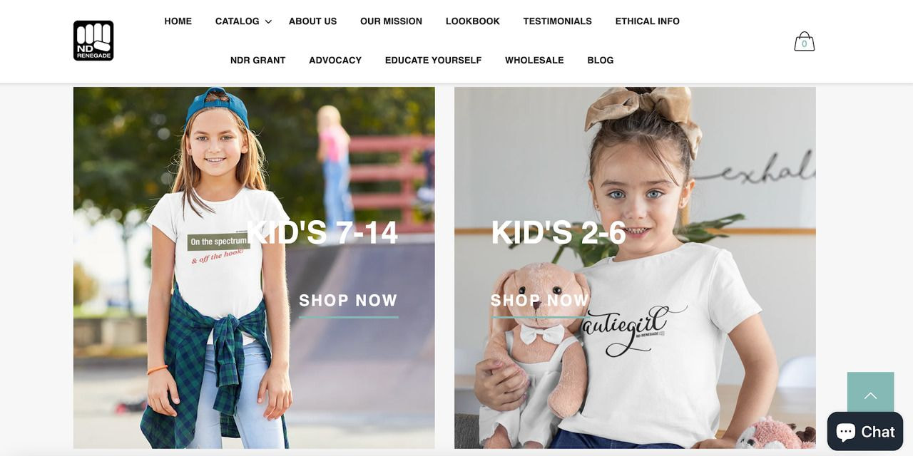 15+ Inspiring Shopify Store Examples | Printful