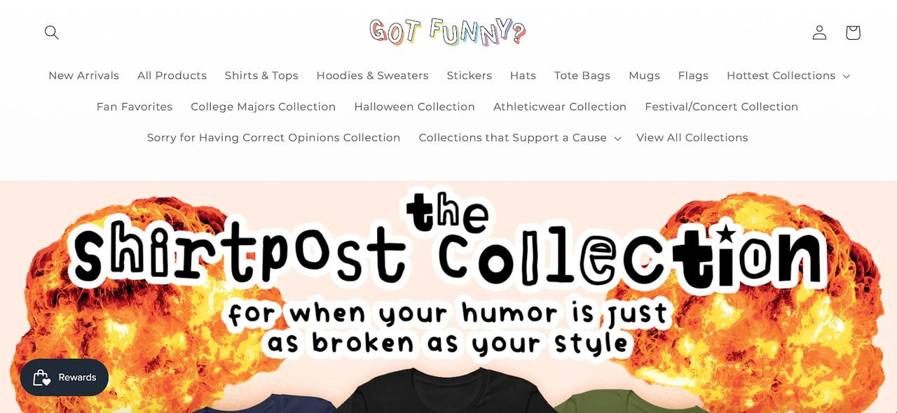 15+ Inspiring Shopify Store Examples | Printful