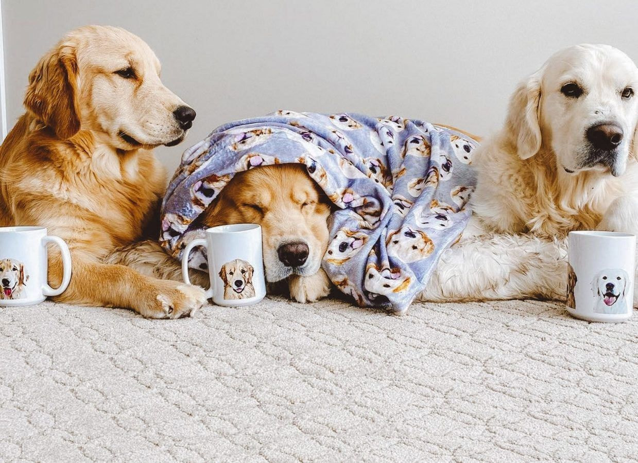 How to Choose POD Products for Your Store | Printful