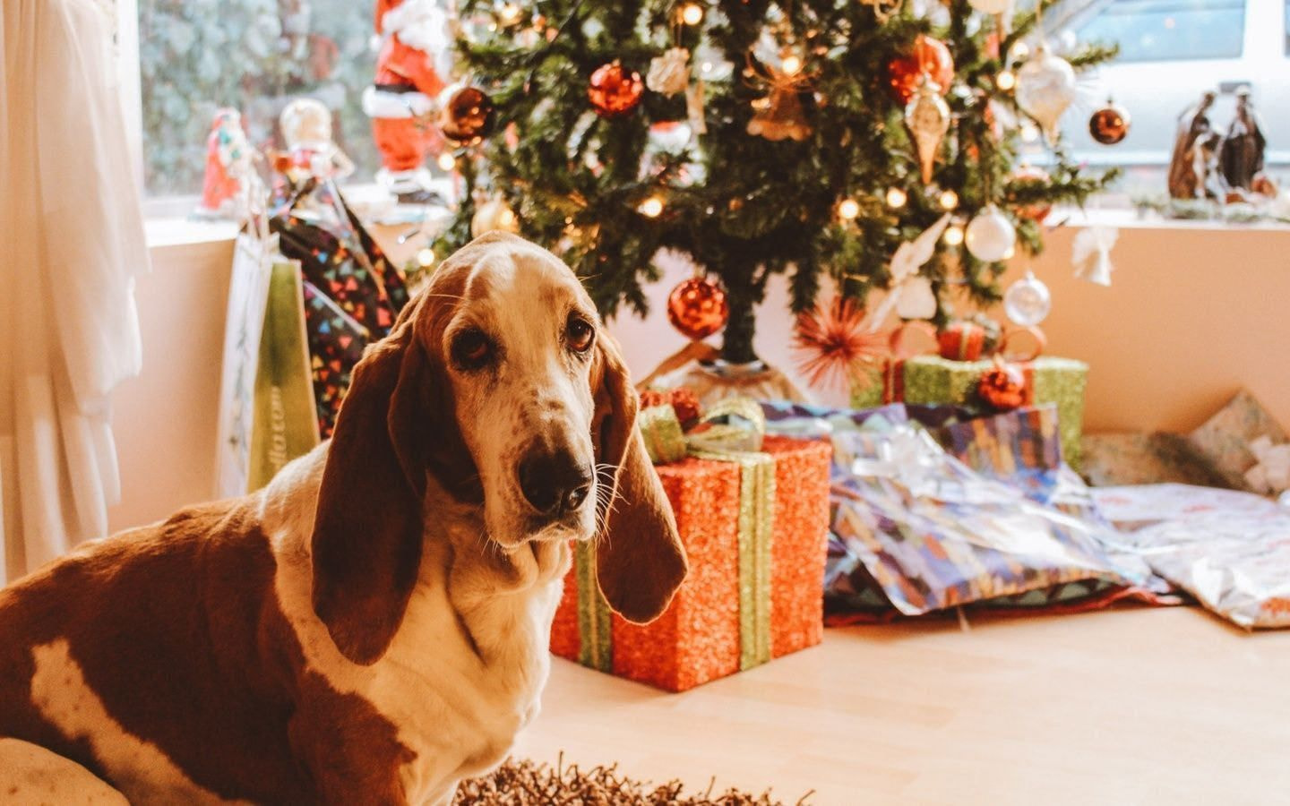 Gift-Worthy POD Products to Sell This Holiday Season | Printful