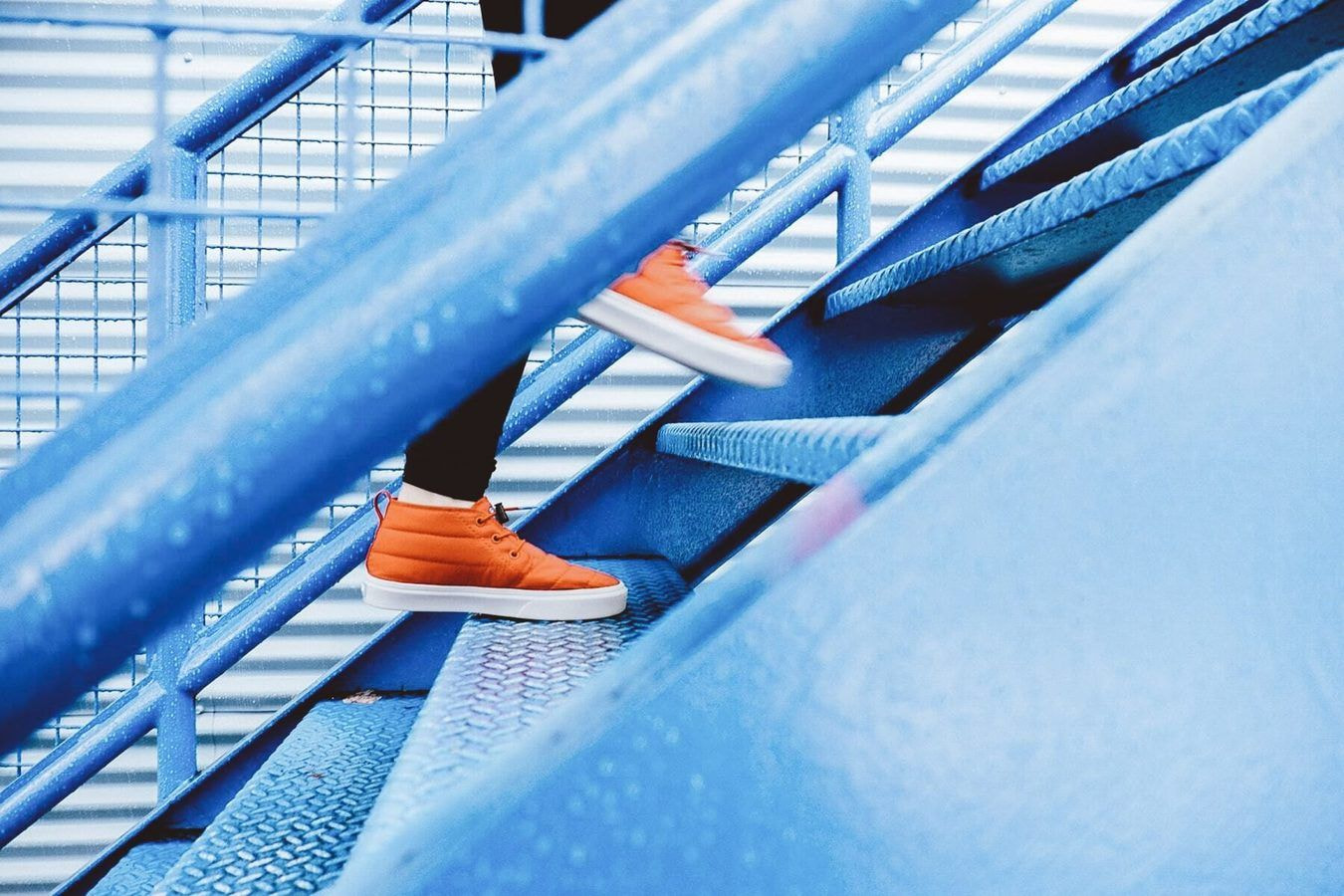 SEO: Was ist das und warum ist es wichtig | Printful