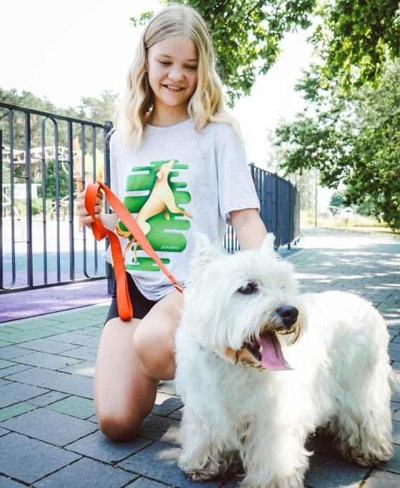 Monetize Your Following with YouTube Merch Shelf | Printful