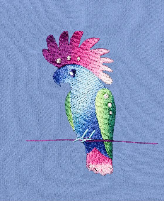 Unlimited Color Embroidery—Design and Sell Online